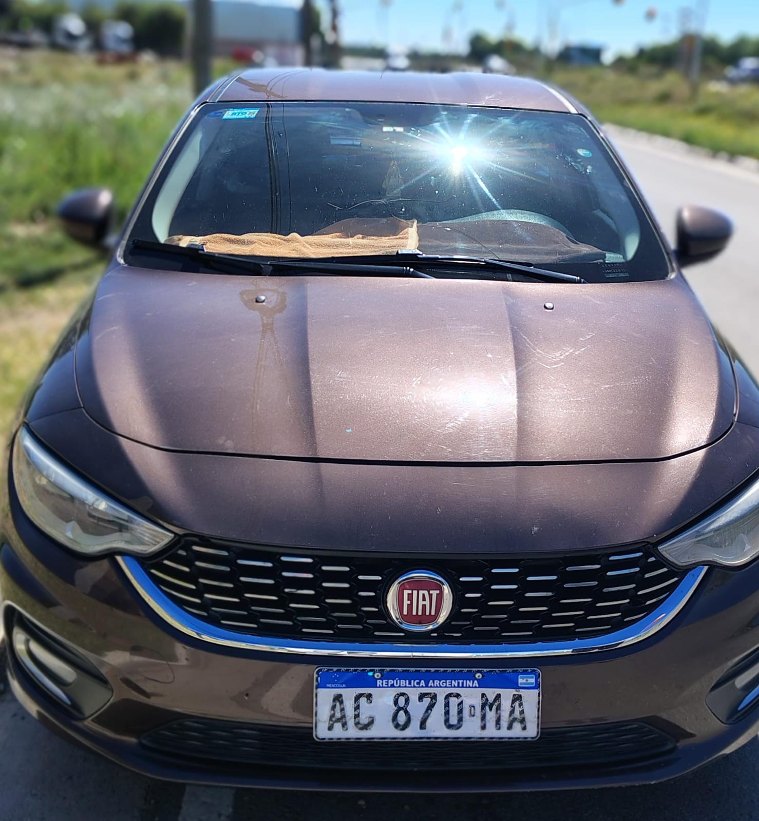 Train Data · Pedido de licitación